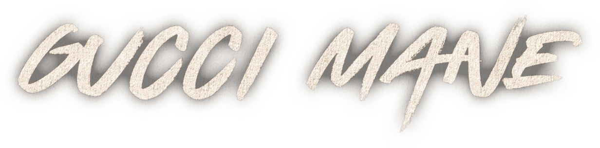 Gucci Mane / T.I. @ The PAV | The Pavilion at Wolf Lake Memorial Park ...